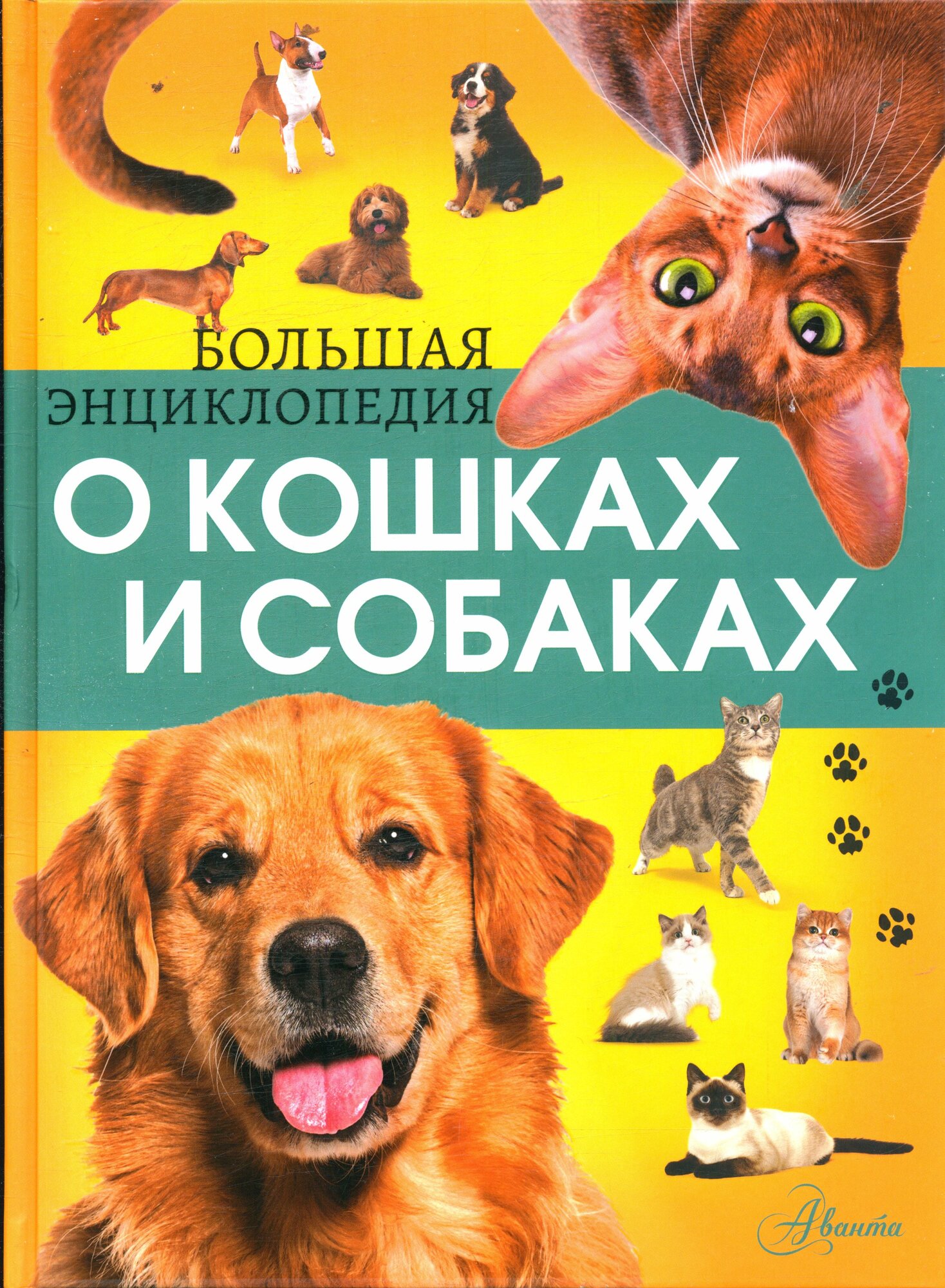 Большая энциклопедия о кошках и собаках