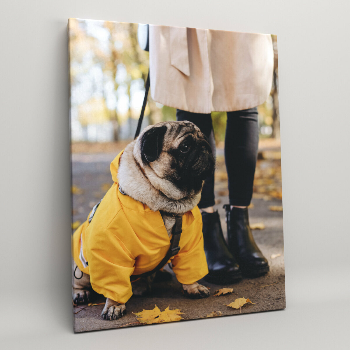Картина на холсте (интерьерный постер) "Мопс в желтом комбинезоне", с деревянным подрамником, размер 45x60 см