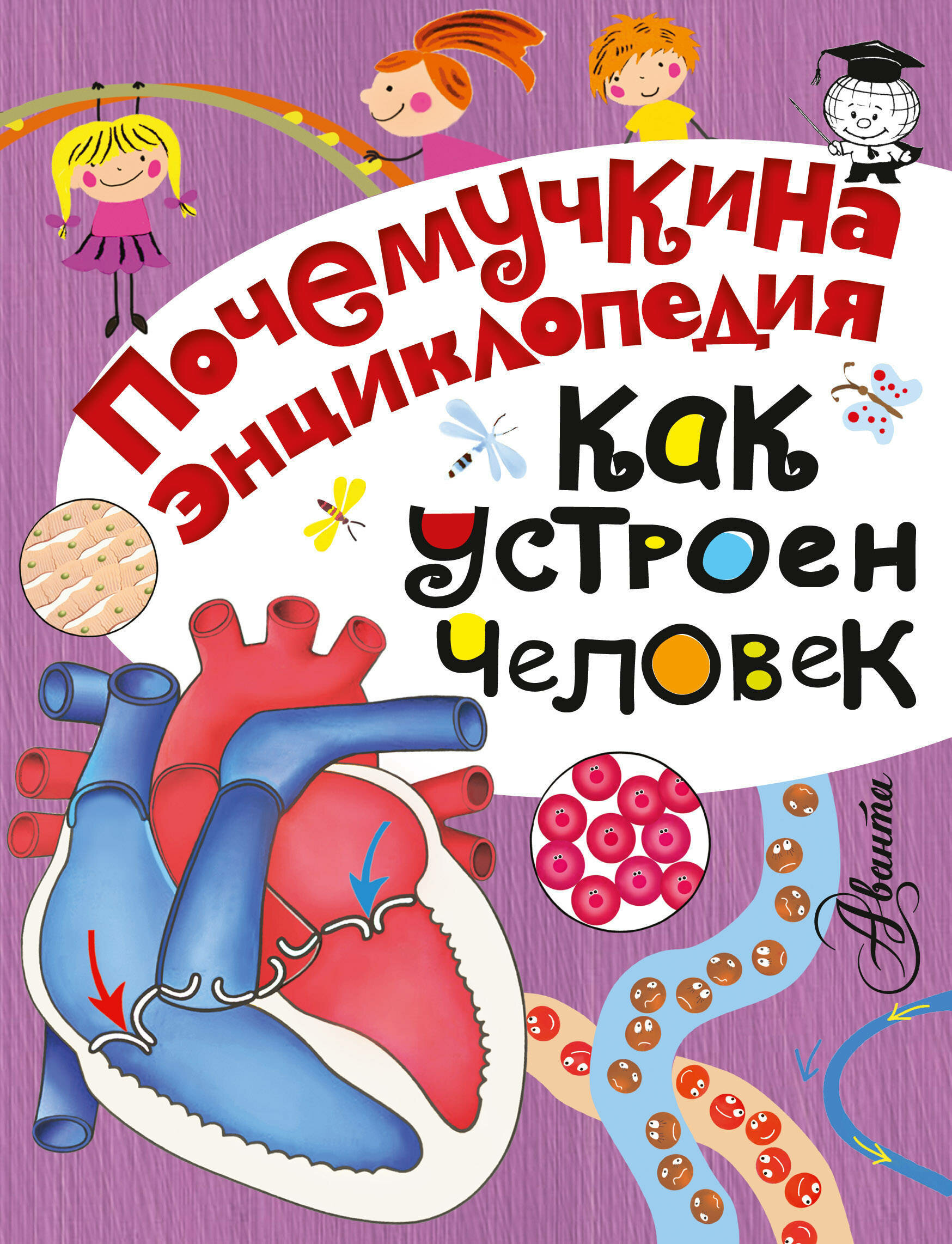 Иванова В. В. Как устроен человек. Почемучкина энциклопедия