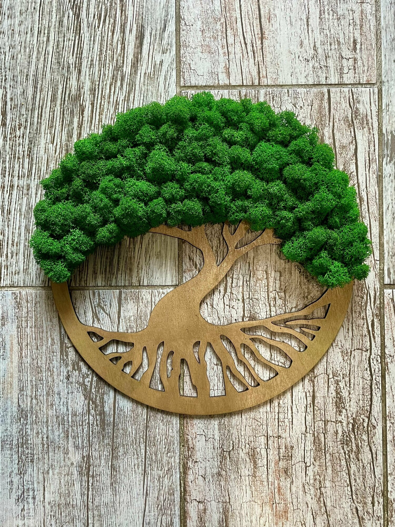 Картина/Панно Дерево жизни из стабилизированного мха, 30 см, ручная работа