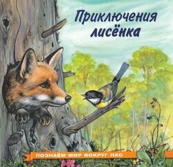 ПознаемМирВокругНас Приключения лисенка, Арт.19754/28527, (Фламинго, 2020)