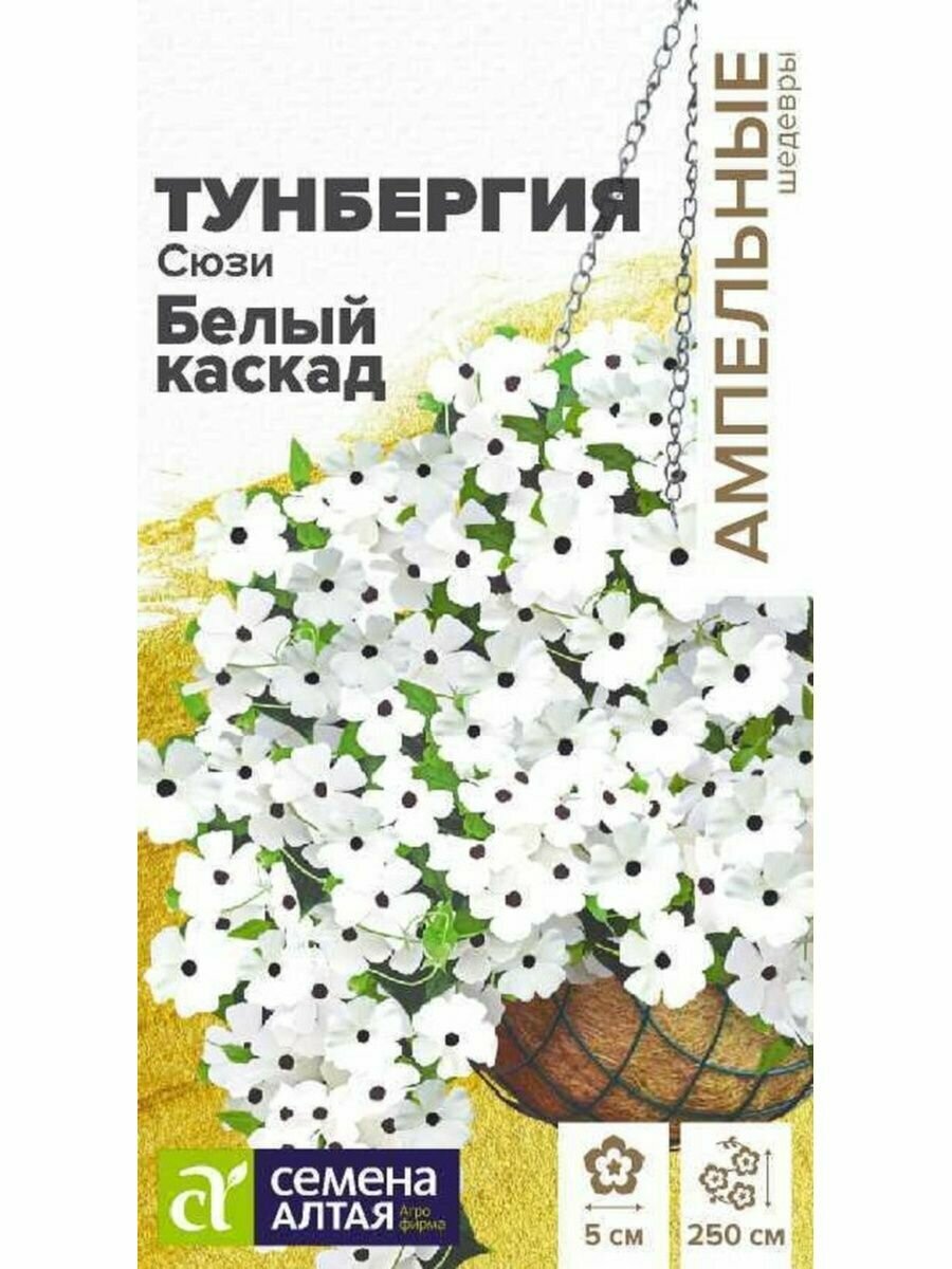 Тунбергия Белый каскад