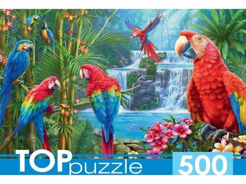 TOPpuzzle. Пазлы 500 элементов. Яркие попугаи (Арт. ХТП500-6975)
