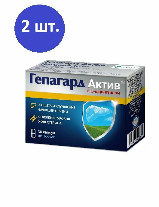Гепагард актив капс. 360мг №30 - 2 упаковки