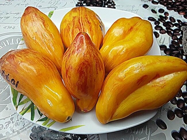 Коллекционные семена томата Жёлтый Тюльпан