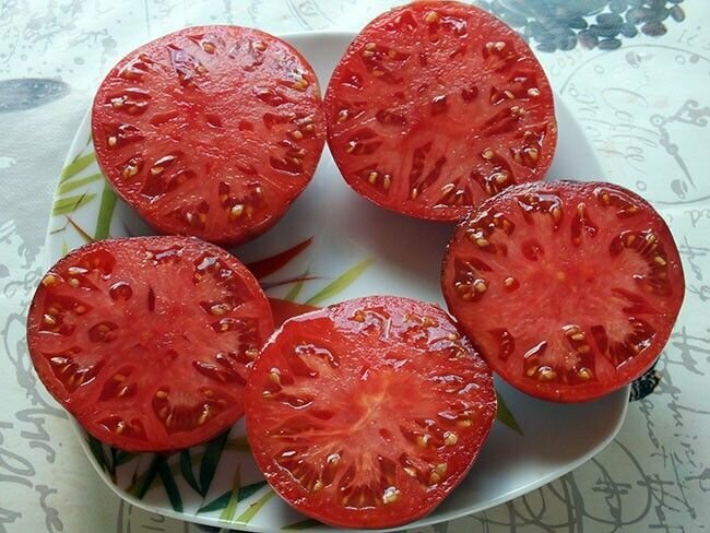 Коллекционные семена томата Глейзера Гигант