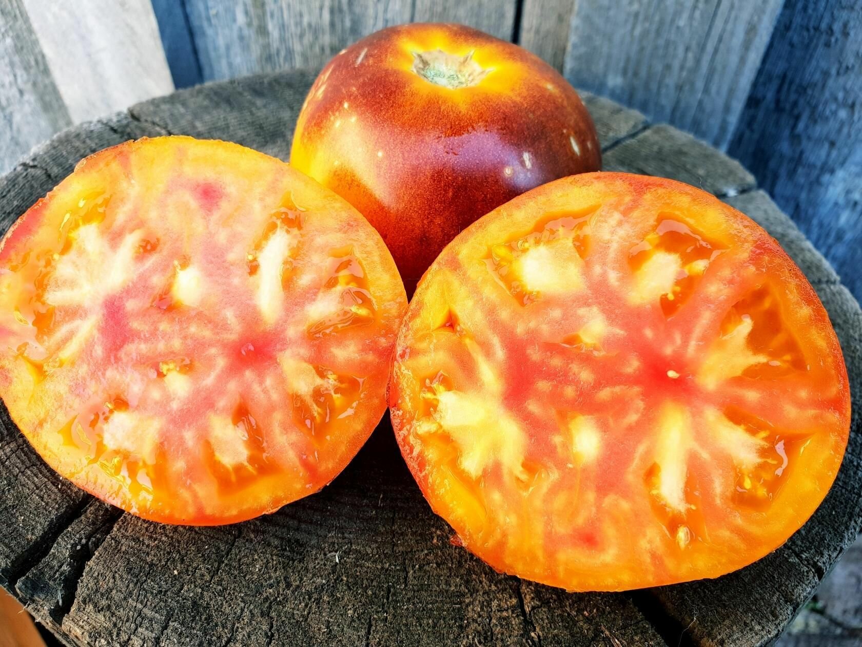 Коллекционные семена томата Гора Грома