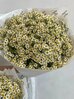 Ромашки