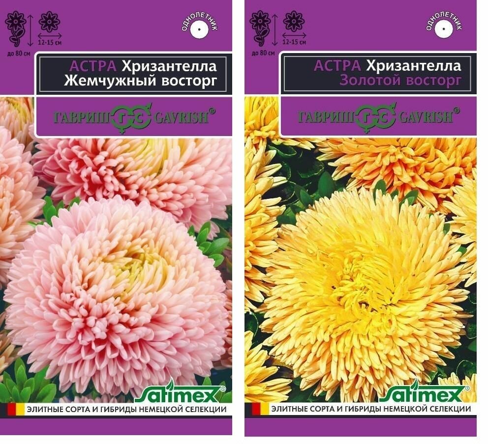 Набор астра китайская махровая хризантелла Жемчужный , Золотой восторг (2 упаковки* 0,05 г семян ) Гавриш