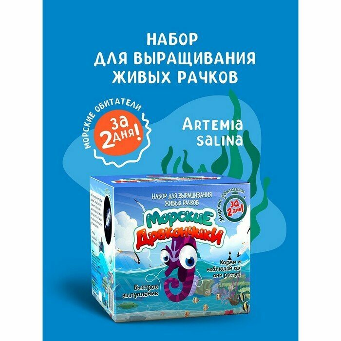 Набор химических опытов и экспериментов БрикНик «Морские дракончики»