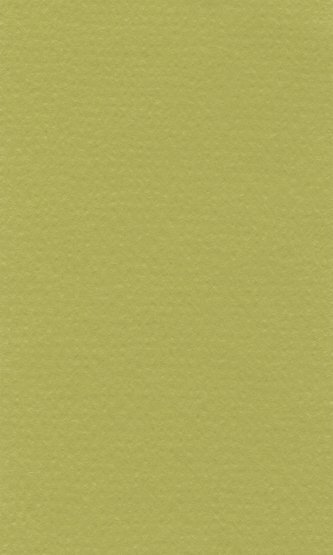 Бумага пастельная COLOURS 160г/кв. м 500х650мм цв.№456 фисташковый