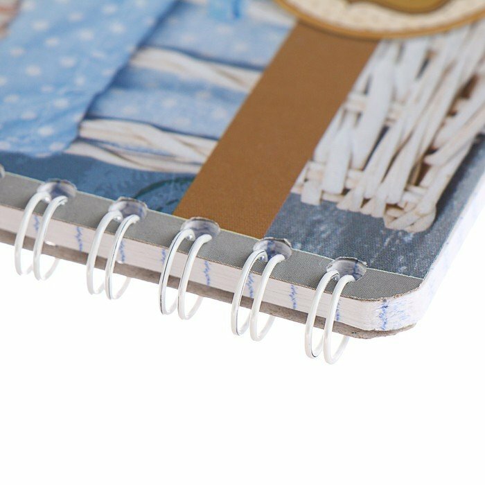 Апплика Записная книжка, 40 листов, "Два котенка"