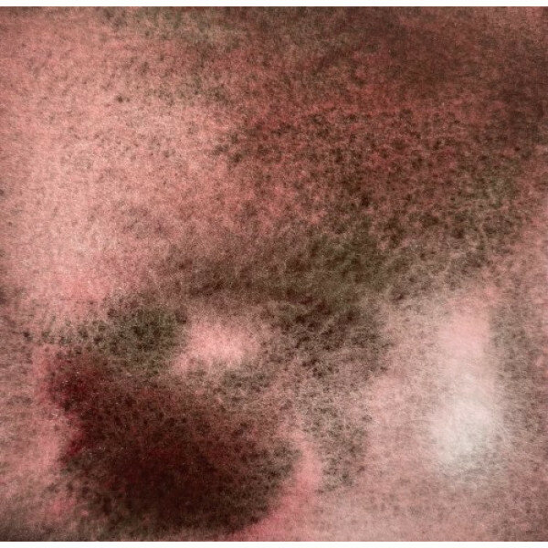 Акварель Handy Багровая осень, кювета 2 мл