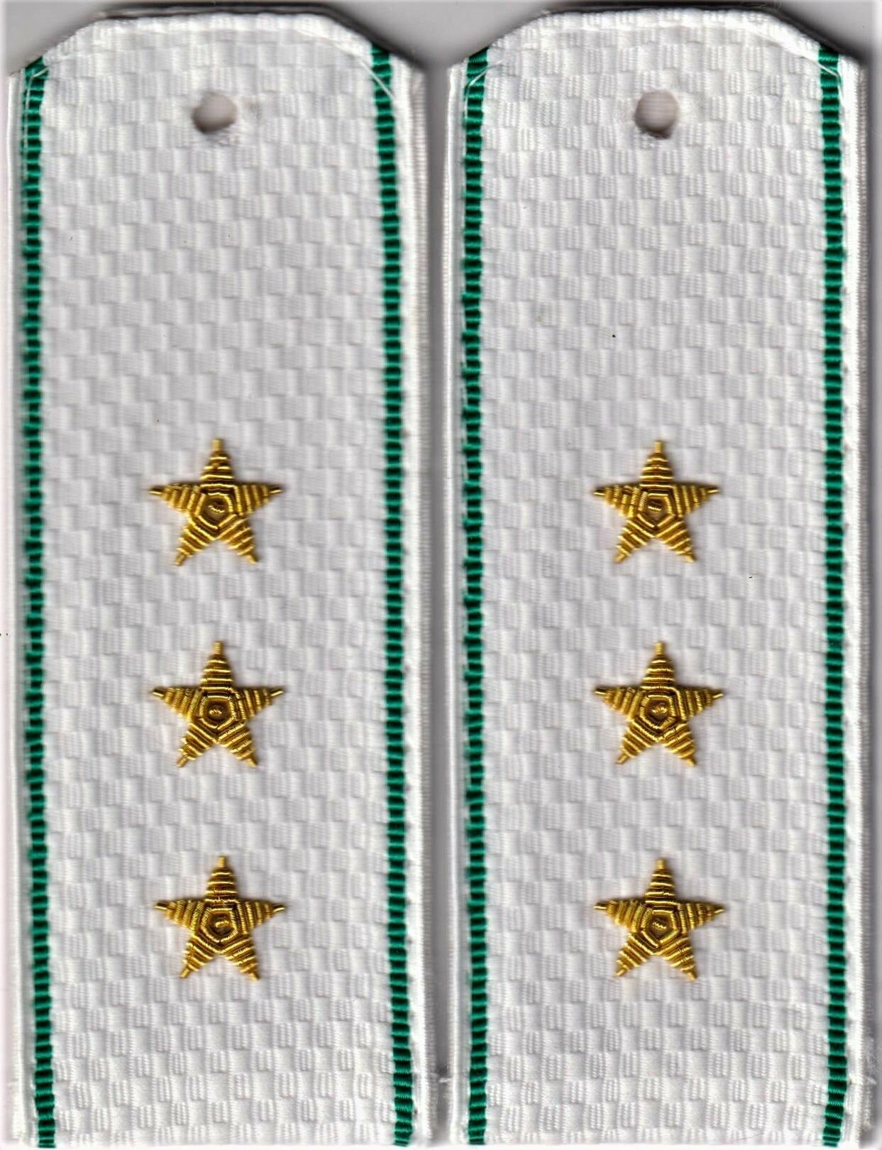 Погоны ПС ФСБ (пограничная служба) на белую рубашку, старший прапорщик