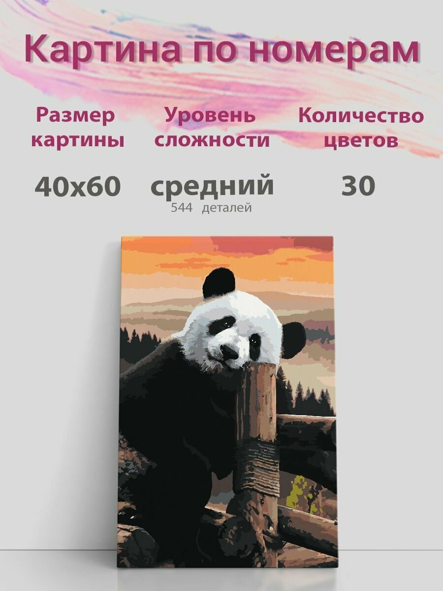Картина по номерам на холсте с подрамником, Панда животные декор, 40х60 см