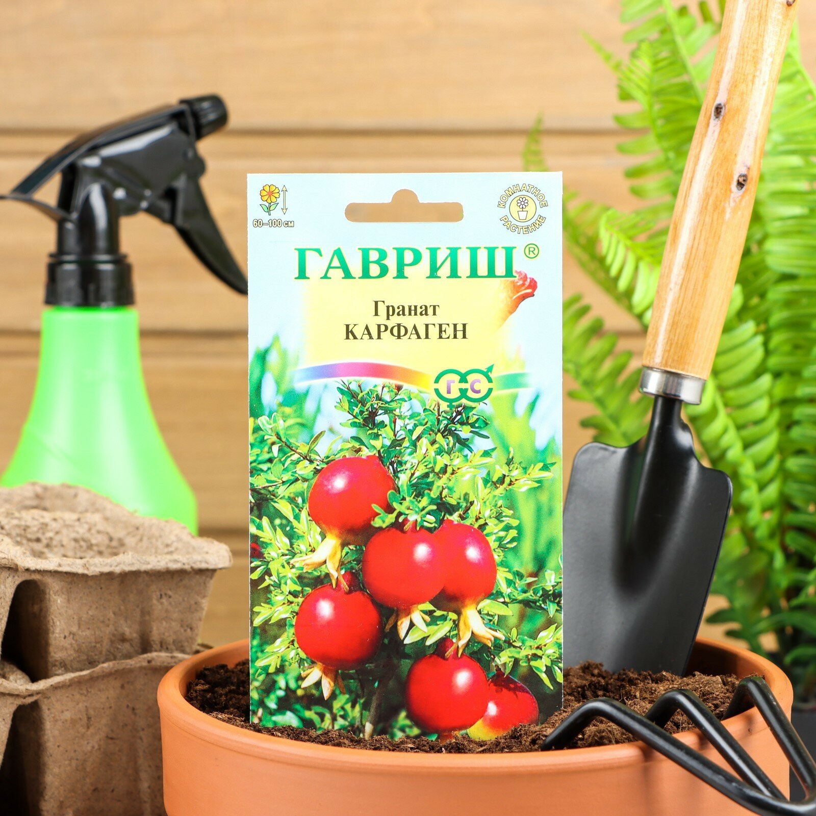 Семена комнатных цветов Гранат «Карфаген», 5 шт, «Гавриш»