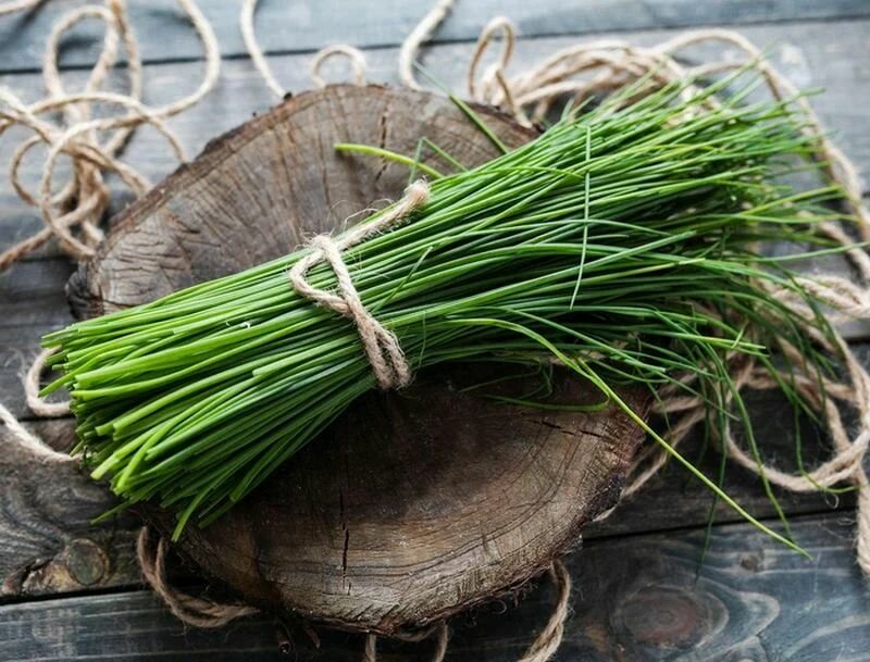 Коллекционные семена лука шнитт Богемия