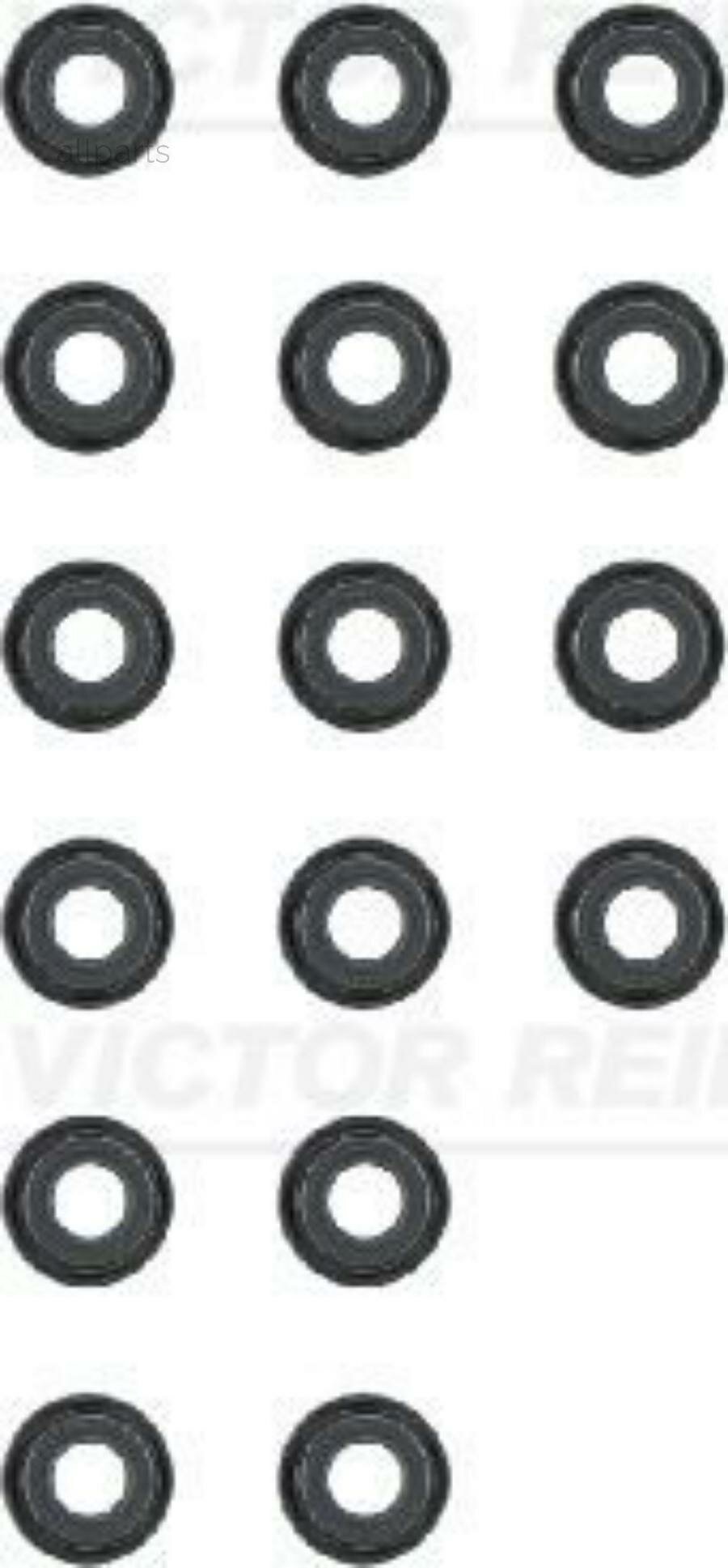 VICTOR REINZ 12-53489-01 Комплект маслосъемных колпачков комплект 16шт Kia Rio 1.5 00> 4,5x9,5x10,3 (16) резина/металл