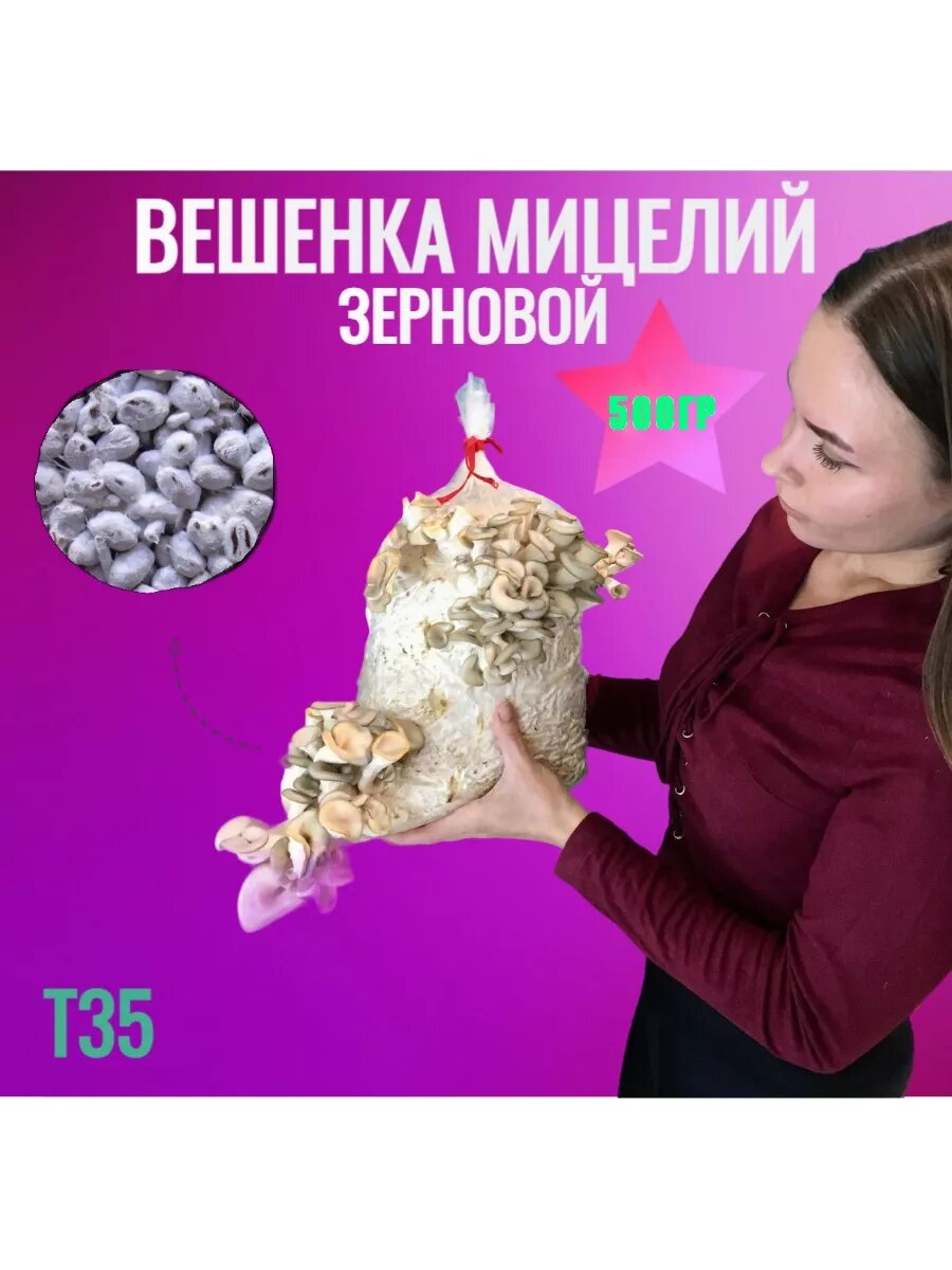 Мицелий вешенки зерновой (штамм т35) - 500 гр.