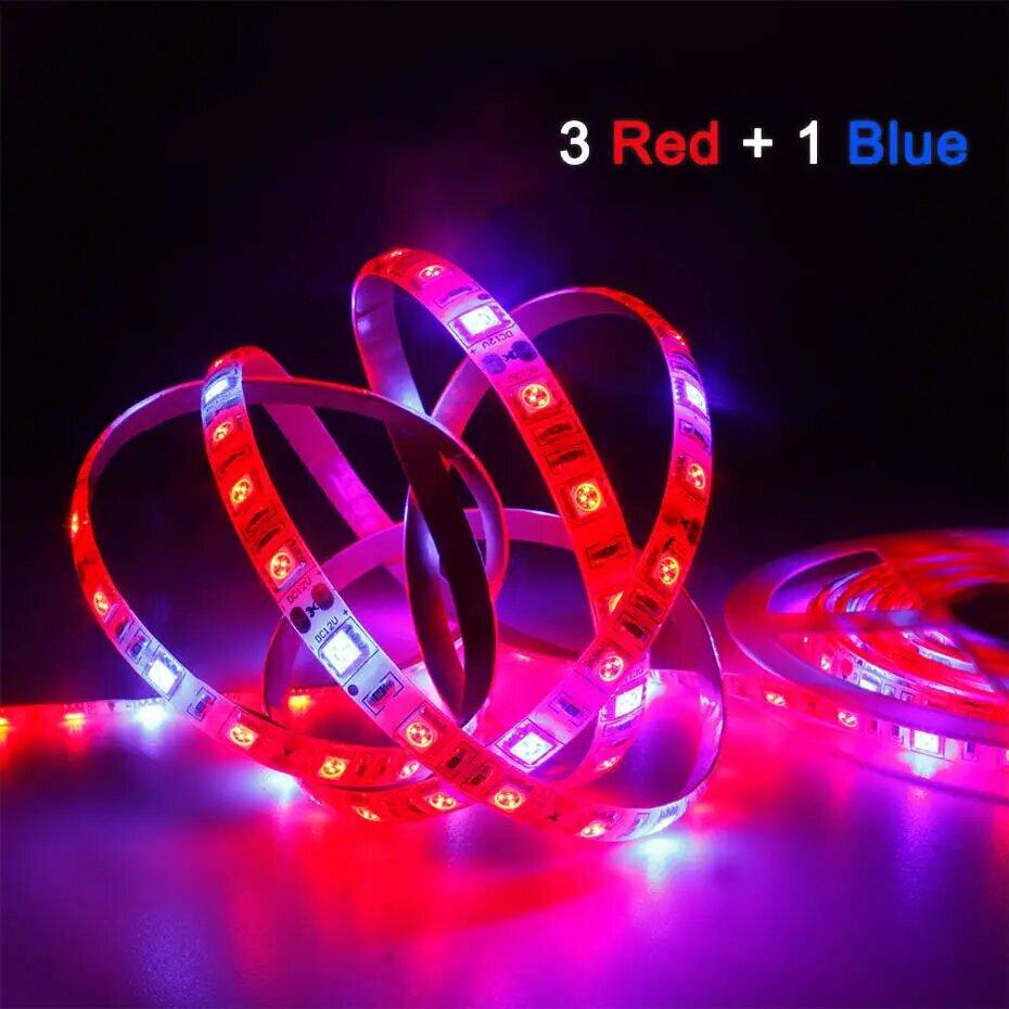 Фитолампа THEBSE 3м, 300 светодиодов, 5red 1blue