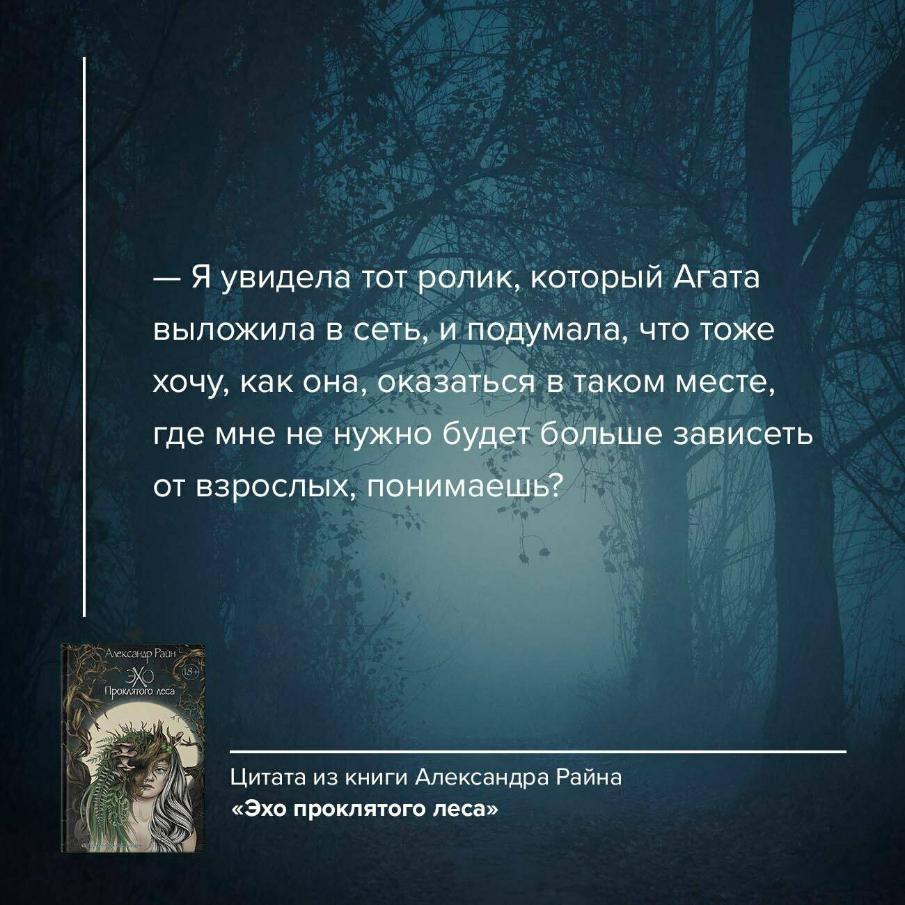 Эхо проклятого леса — фото 1
