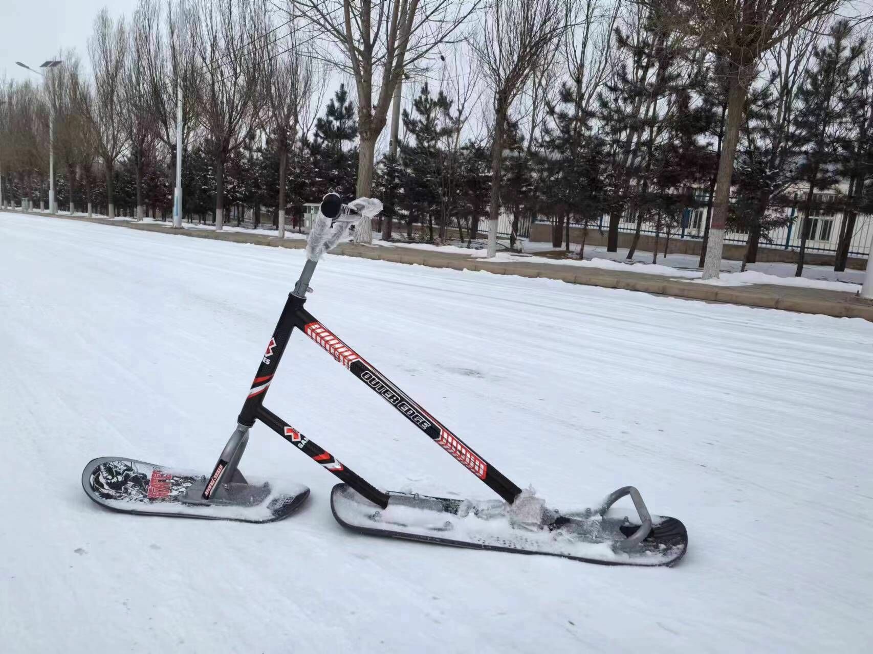 Лыжный велосипед, лыжа