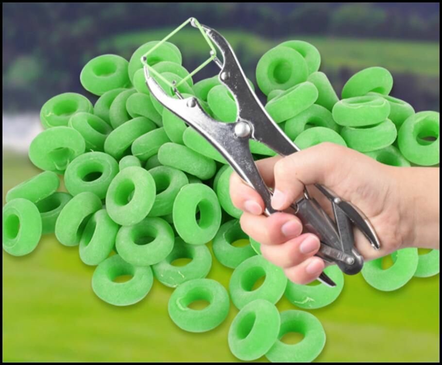 (500 шт.) Резиновые кольца/резинки для кастрации животных