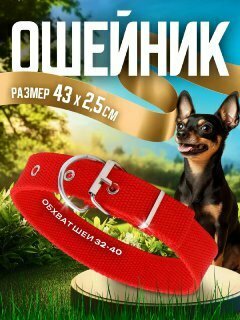 Ошейник Пижон, полиэстер, универсальный, регулируемый, ОШ 32-40 см, красный