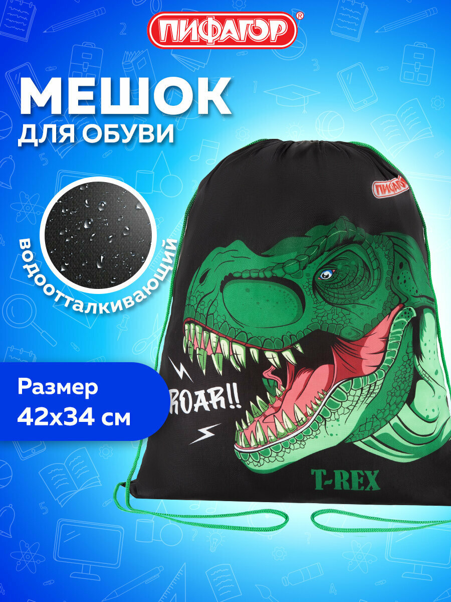 Мешок для обуви Пифагор, 1 отделение, 42х34 см, Dino roar, 272387