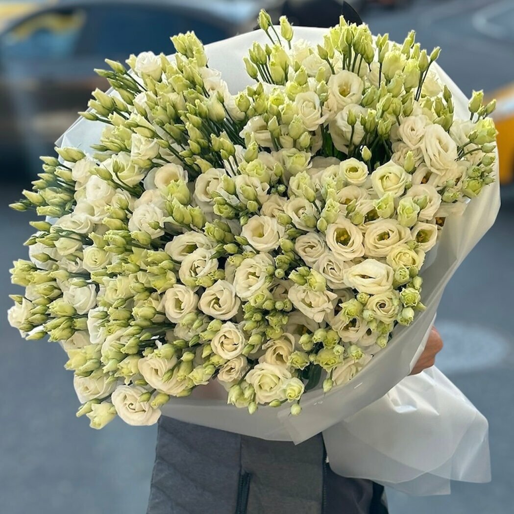 Букет из белой эустомы 51 шт, красивый букет цветов, шикарный, премиум цветы, премиум букет