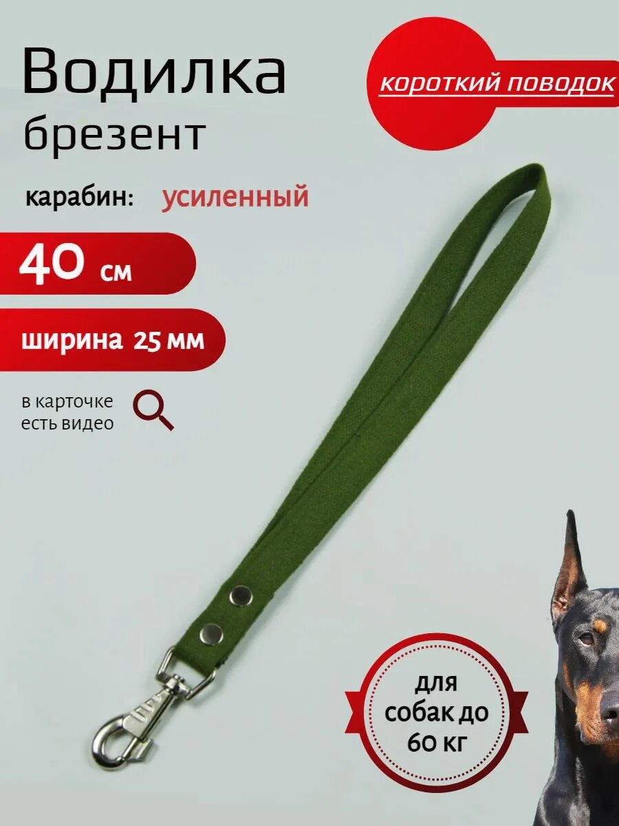 Водилка Хвостатыч для собак с карабином брезент 40 см х 25 мм (зеленый)