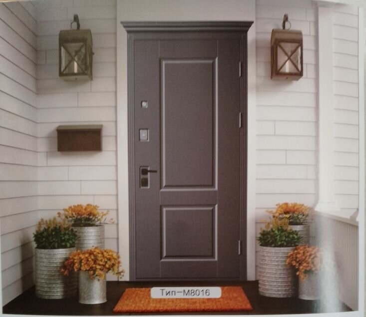 Дверь входная М-8016