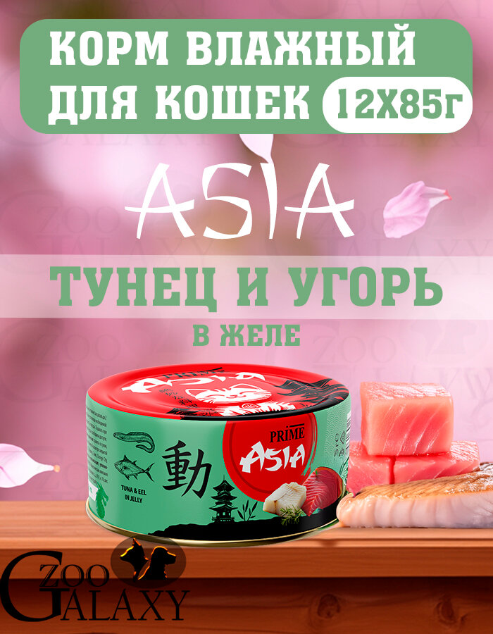 PRIME Влажный корм ASIA для кошек, тунец и угорь в желе 12х85г