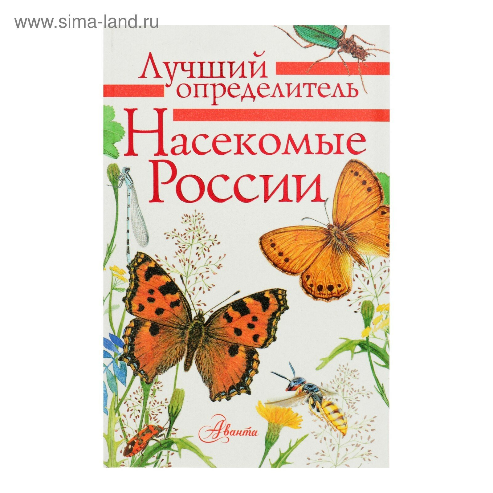 Энциклопедия детская «Лучший определитель. Насекомые России»