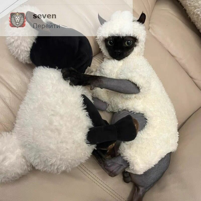 Одежда для домашних животных-милые кошки становятся овечками-подходит для маленьких и средних кошек и собак 1