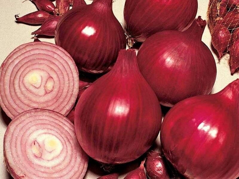 Коллекционные семена лука репчатый Красный-88 F1