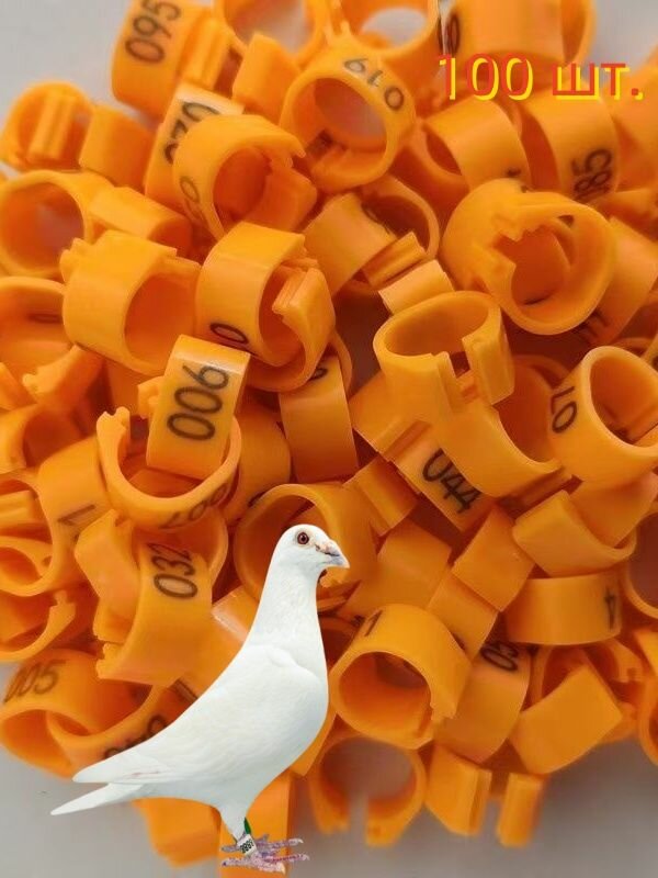 100 шт. Меточные кольца для птиц 8мм , маркировка для голубей, Меточные кольца