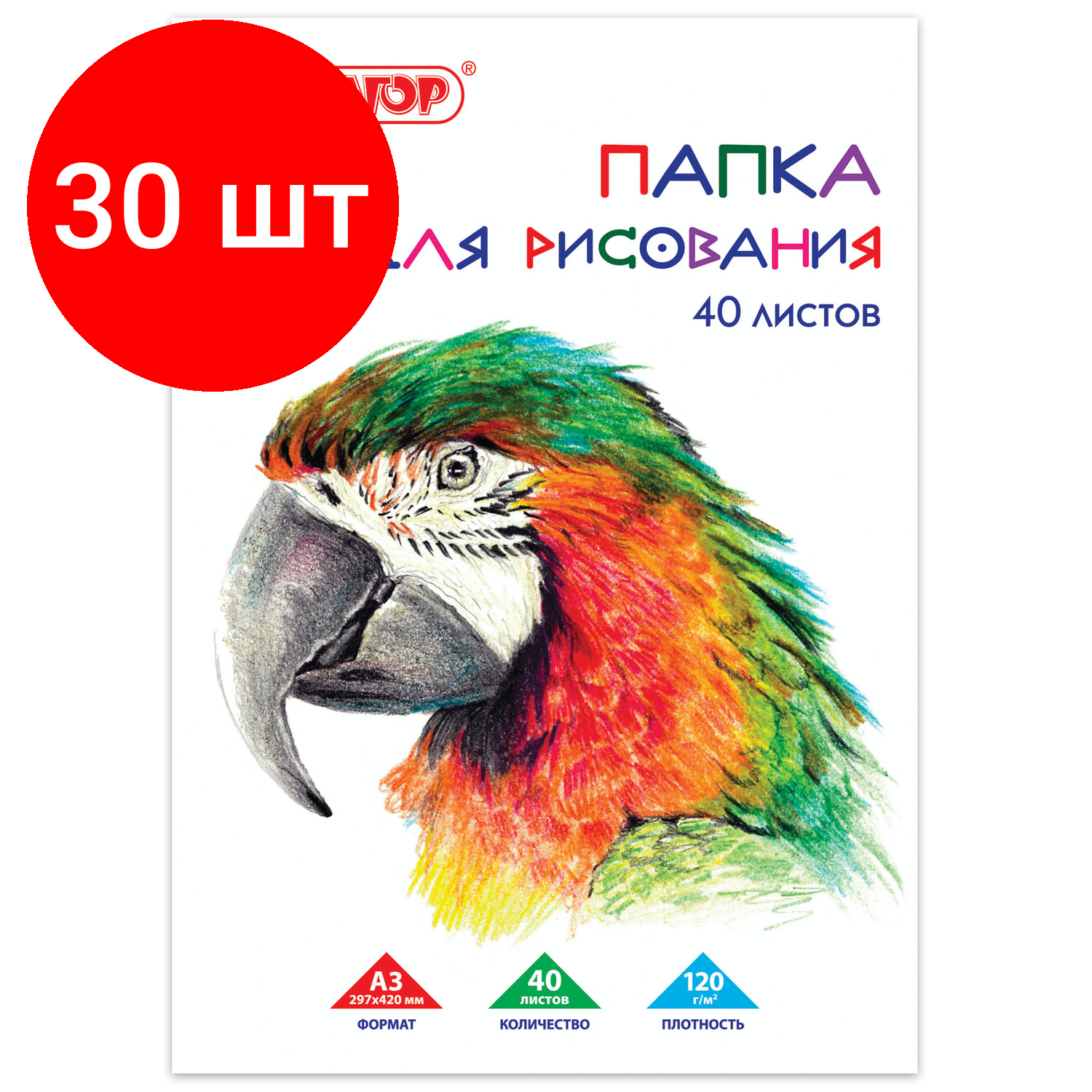 Комплект 30 шт, Папка для рисования большого формата А3, 40 л, 120 г/м2, пифагор, 297х420 мм, "Попугай", 129219