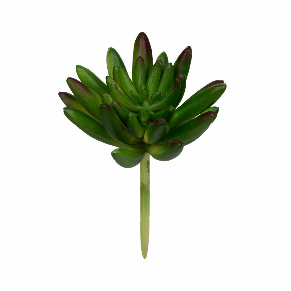 Blumentag ASU-13 Декоративные элементы "суккулент" 1 шт. 7 x 10.5 см 2