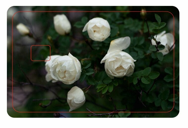 Наклейка на банковскую карту, стикер на карту, мемы, приколы, комиксы, стильная наклейка, цветы. розы