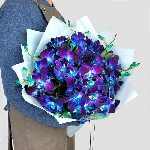 Букет из синих орхидей Космос в руках. Букет 240 ALMOND ROSES — купить ...