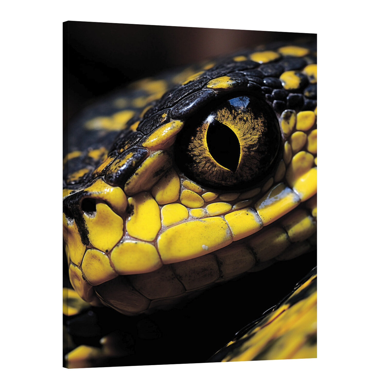 Интерьерная картина 50х70 "Змеиный взгляд"