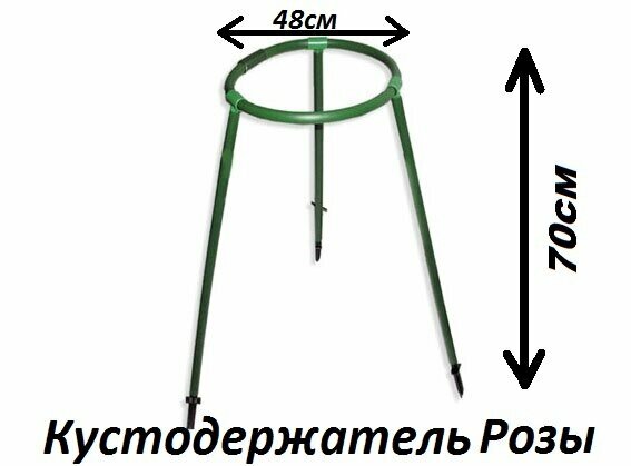 Кустодержатель Роза d-48 h-70