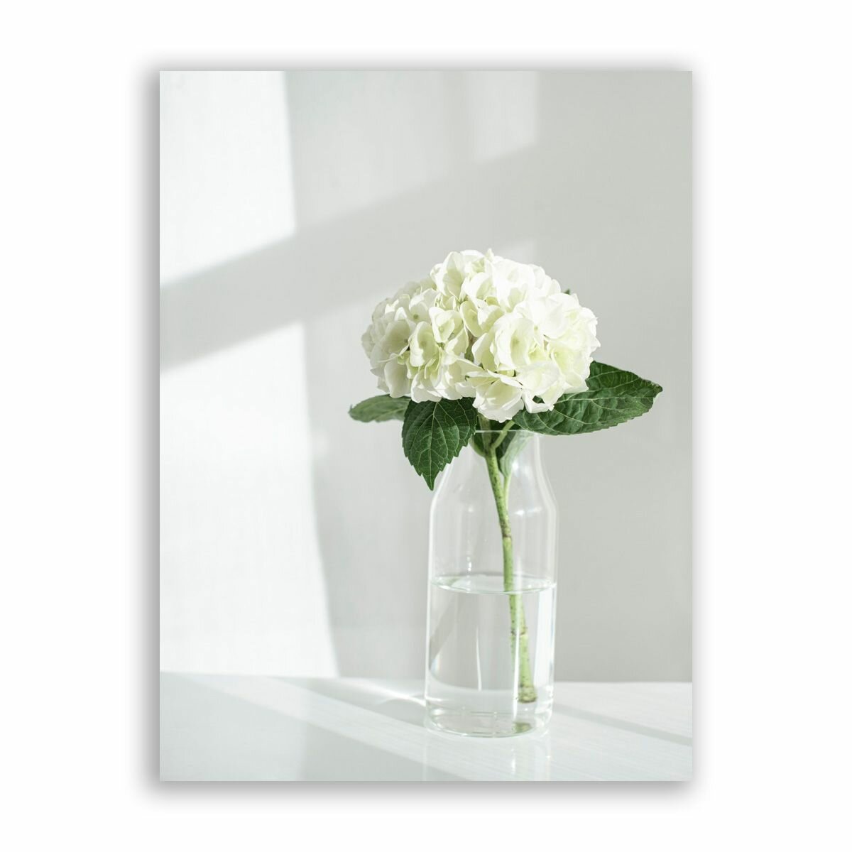 Постер цветы на бумаге / Гортензия / Размер 60 x 80 см