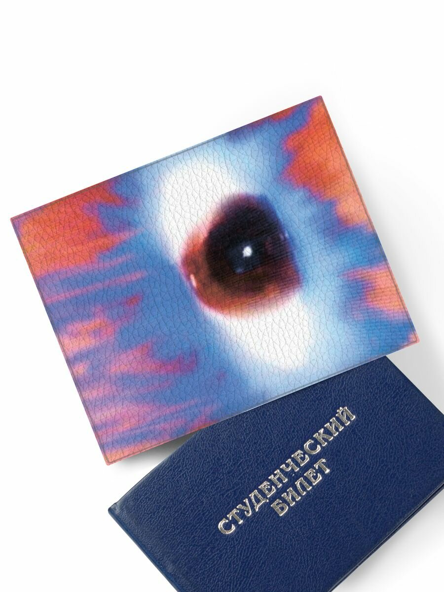 Обложка-карман для студенческого билета
