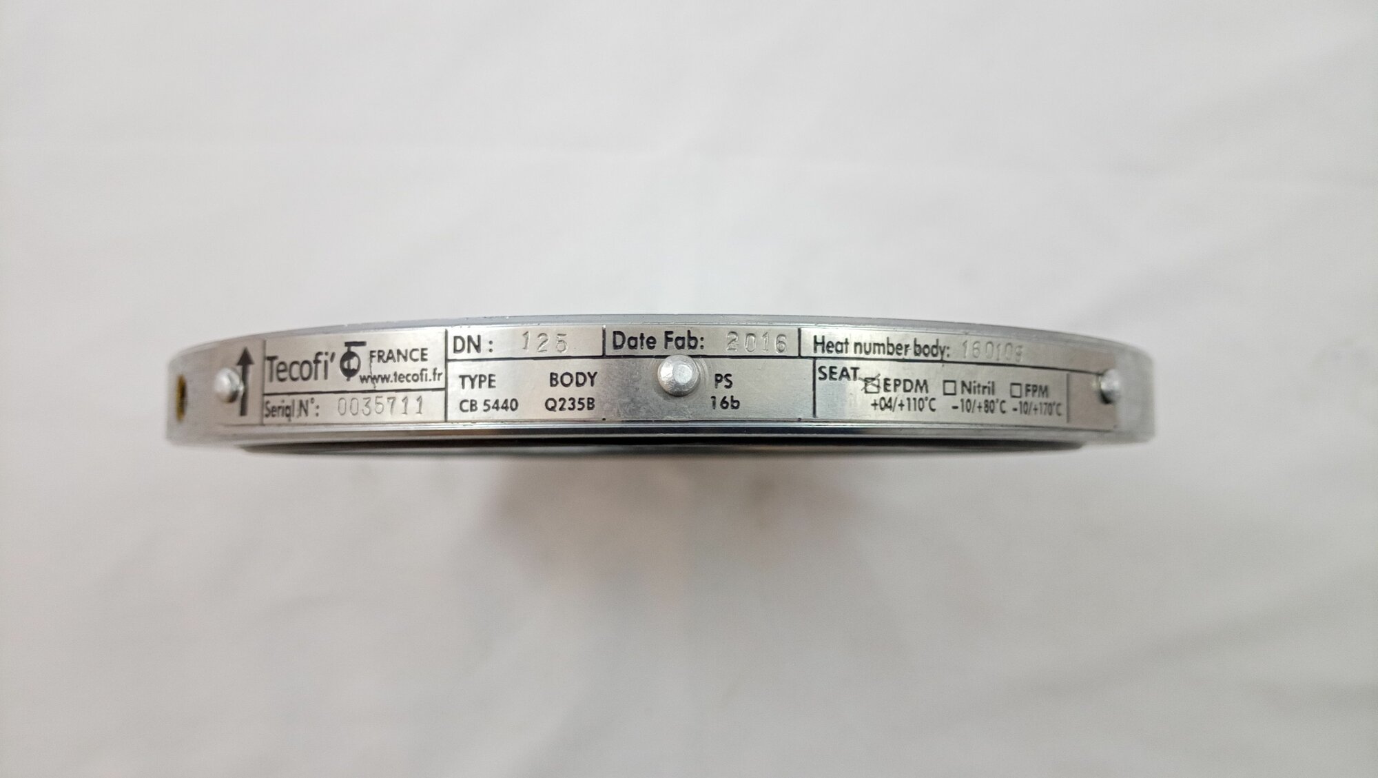 Клапан обратный Tecofi DN125 Тип CB5440 корпус - оцинкованная сталь