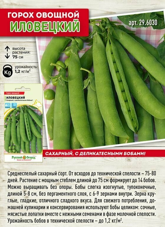 Семена растения Горох овощной Иловецкий