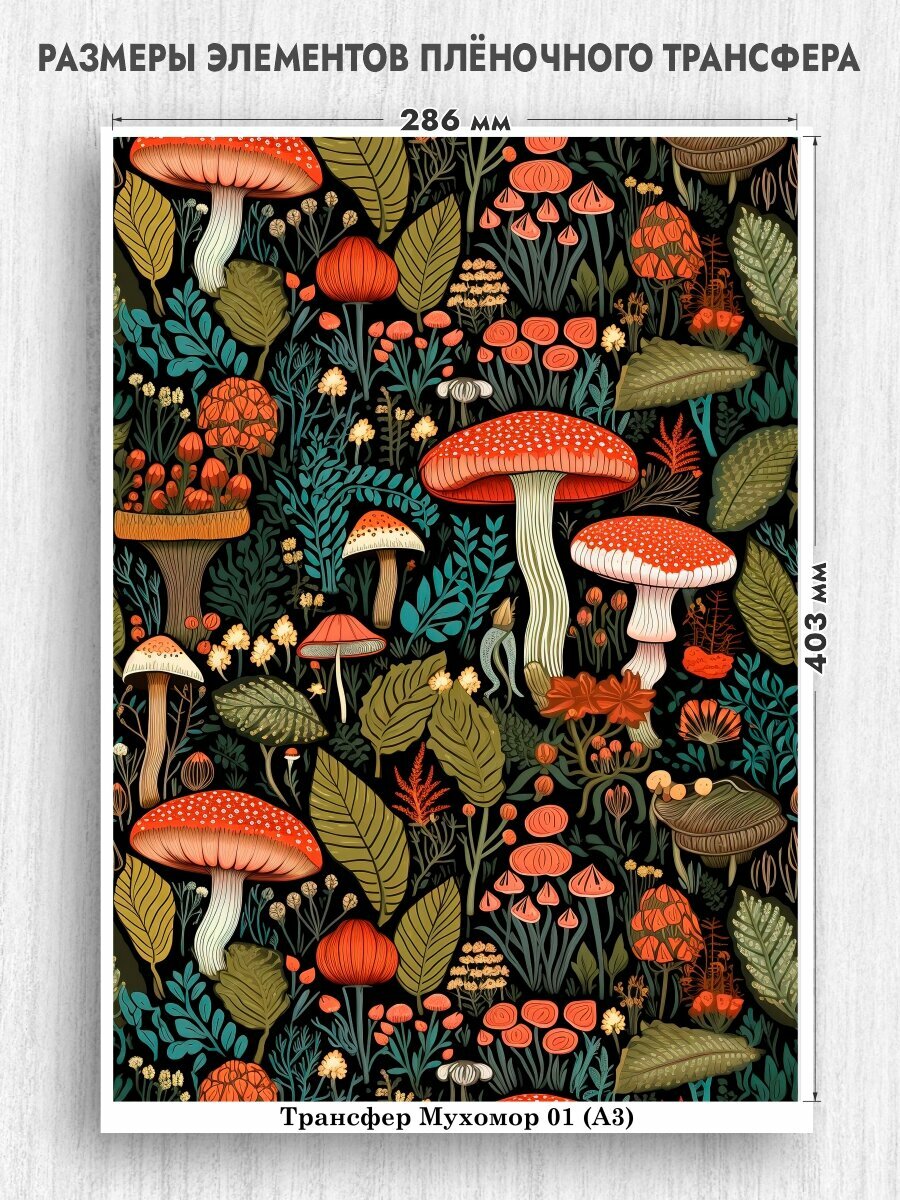 Трансфер для декупажа переводной рисунок для поверхностей мухомор 001 (А3)