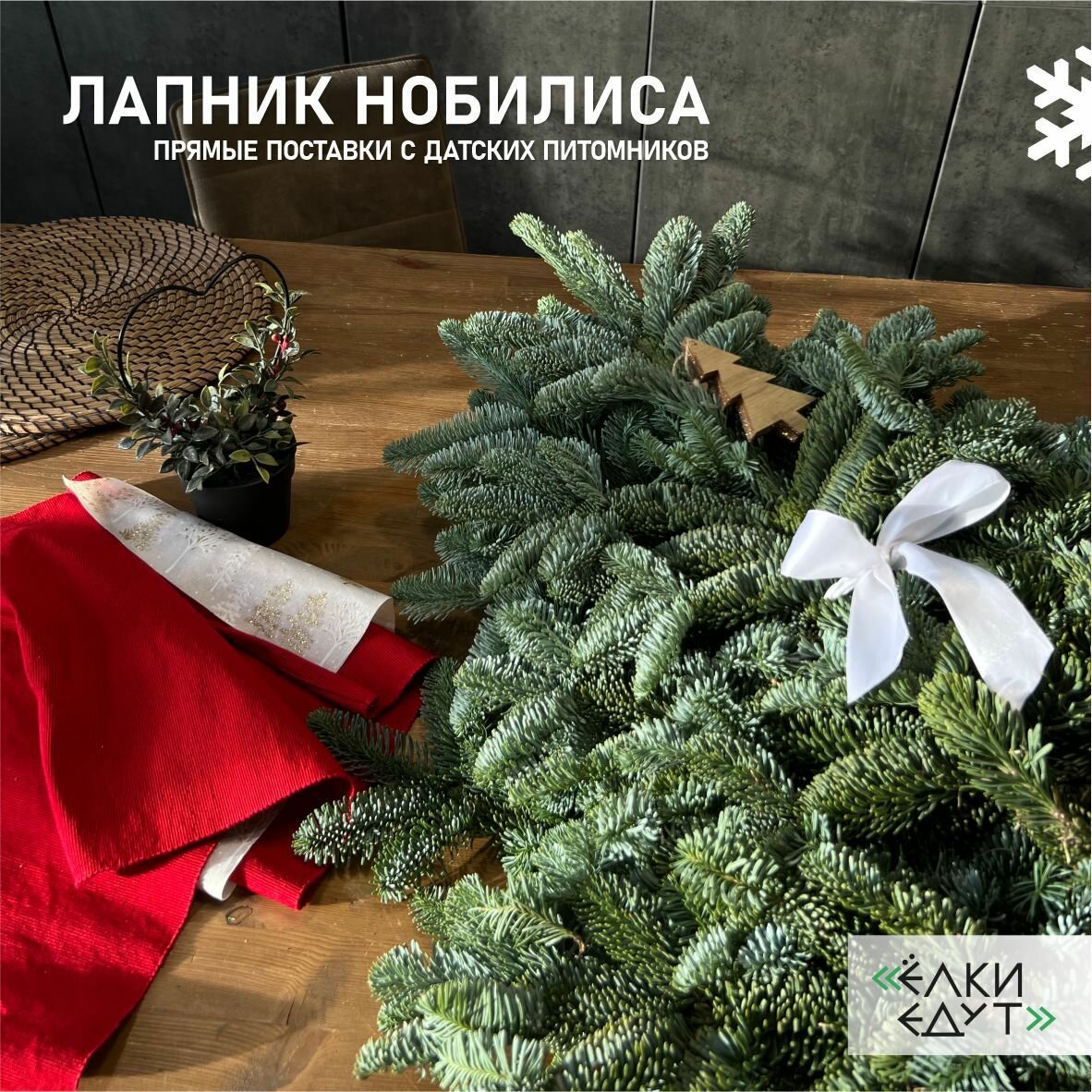 Лапник (ветки живые) пихты Нобилис, 9-15 шт (Дания)