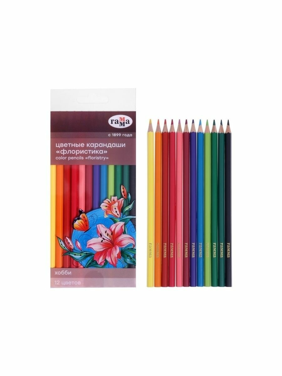 Карандаши цветные Гамма Флористика", 12 цветов, ПВХ, европодвес (280620215)